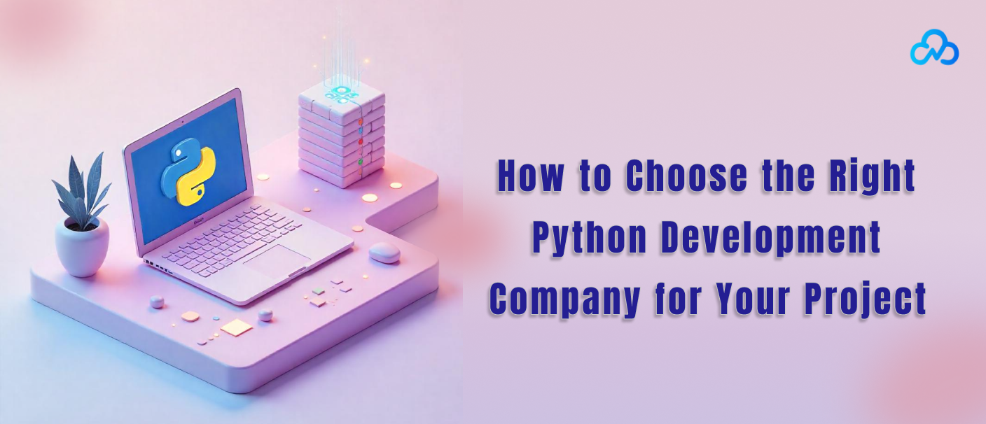 🐍 Python Development Company Tips for Success